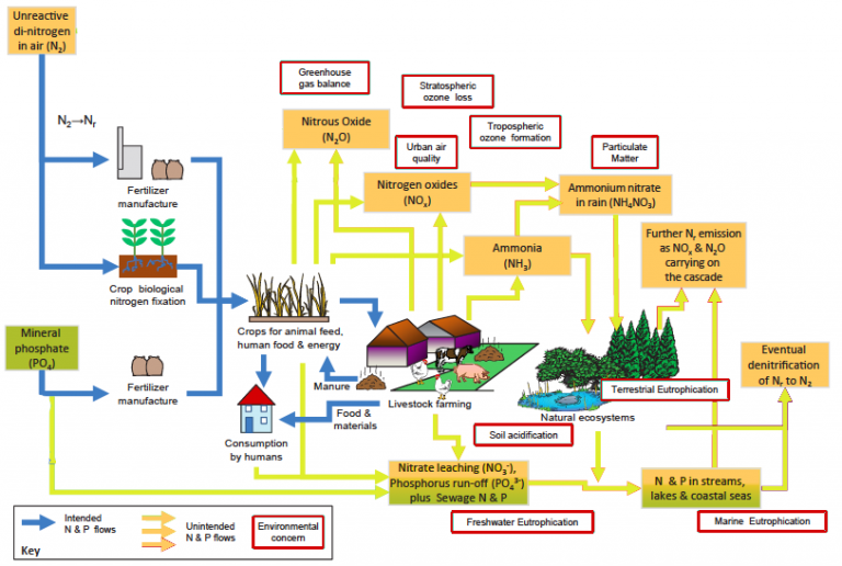 Climate Change Bill - Blog 2: A Nitrogen Budget - Nourish Scotland