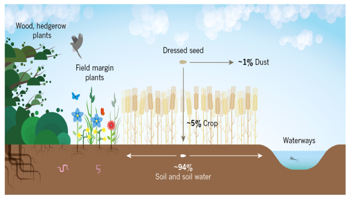 seed dressing - Nourish Scotland