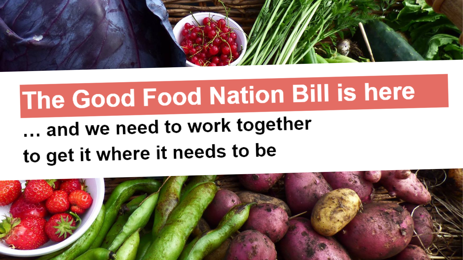 Call for views on the Good Food Nation Bill - Nourish Scotland