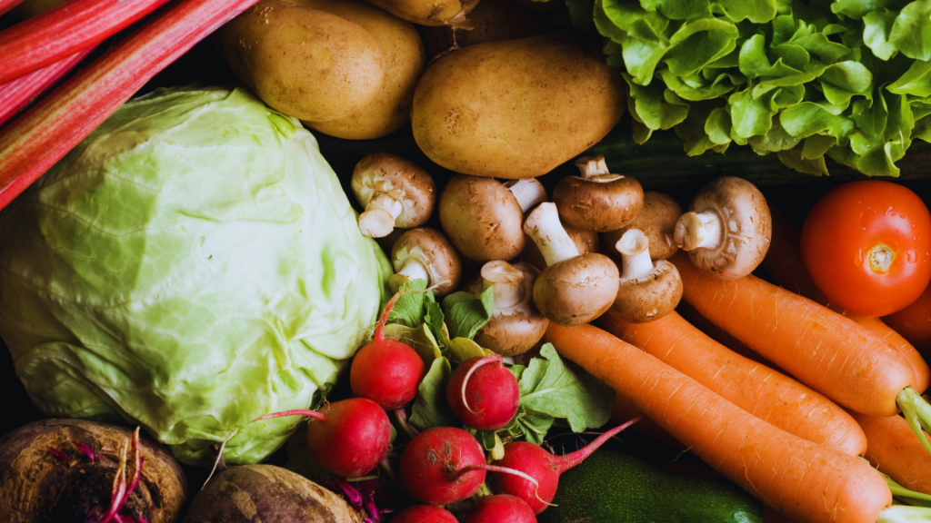 National Veg Summit 2023 - Nourish Scotland