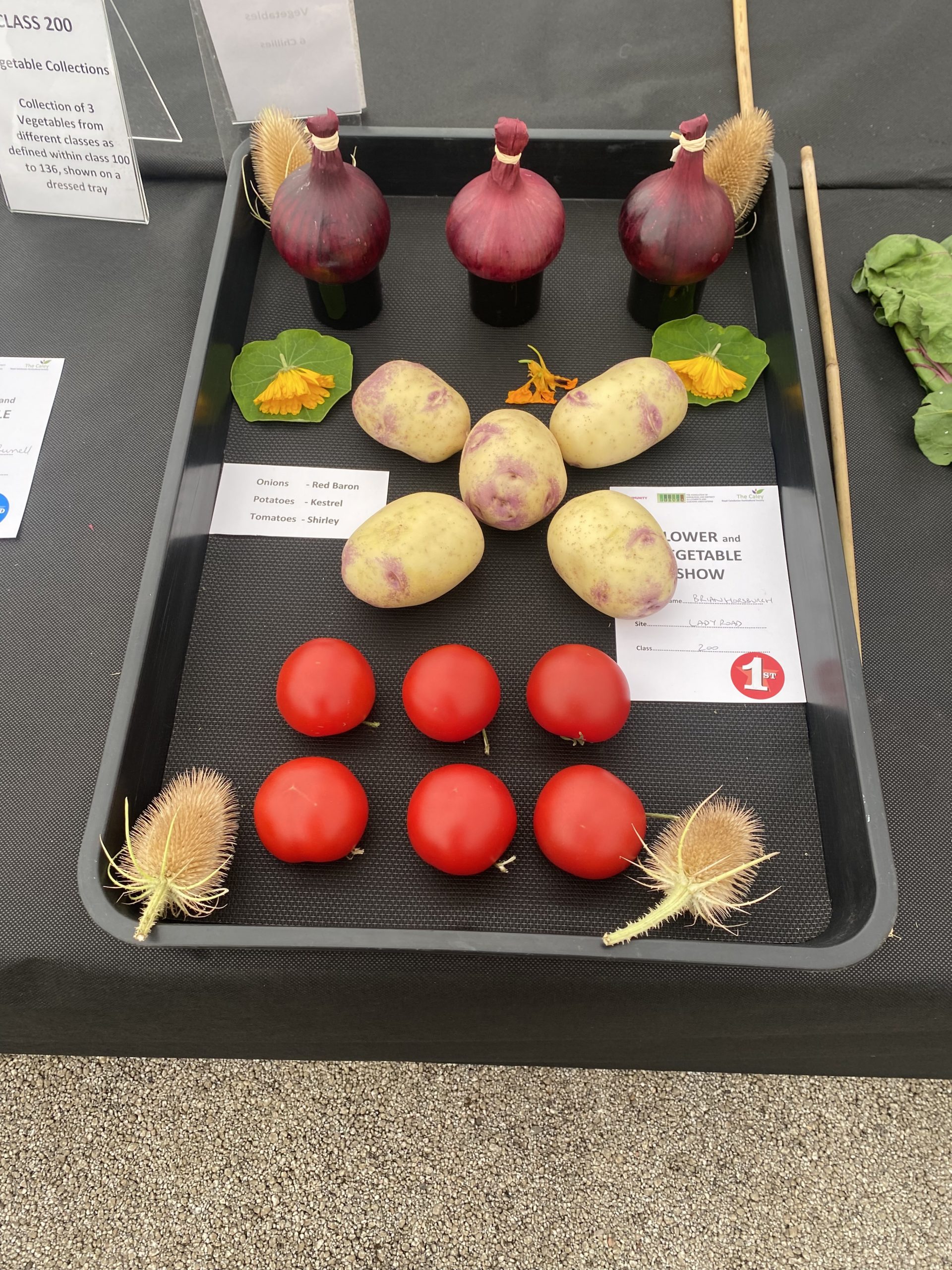 National Veg Summit 2023 – Nourish Scotland