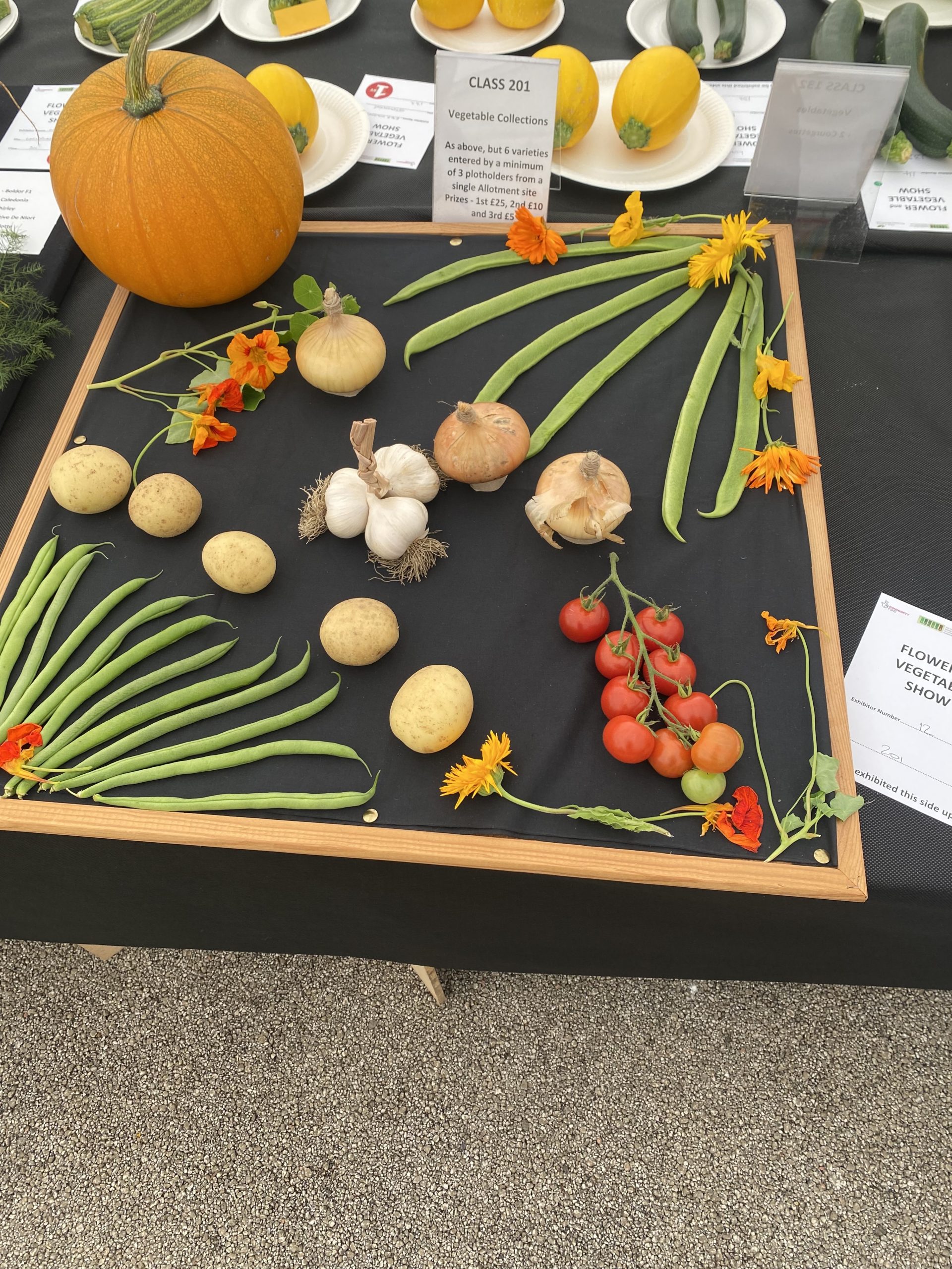 National Veg Summit 2023 – Nourish Scotland