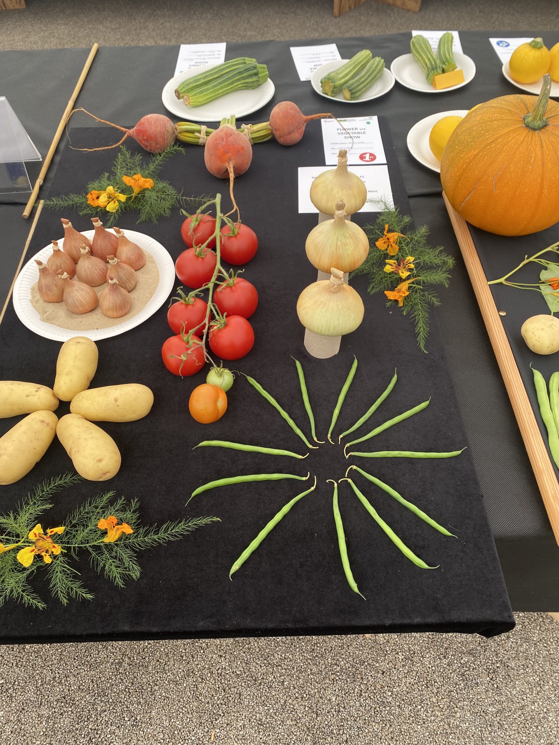 National Veg Summit 2023 - Nourish Scotland